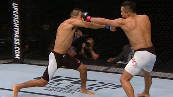 UFC Fight Night 94 - Alejandro Perez contre Albert Morales - UFC Fans
